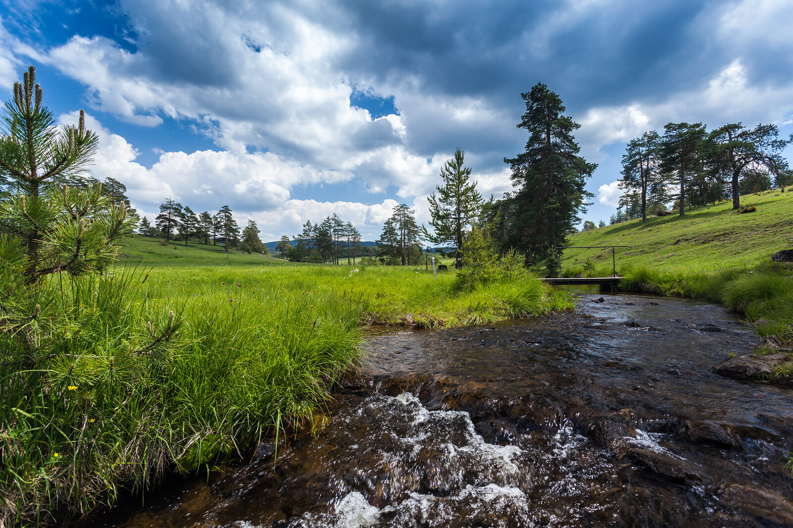 Zlatibor | MONS Zlatibor